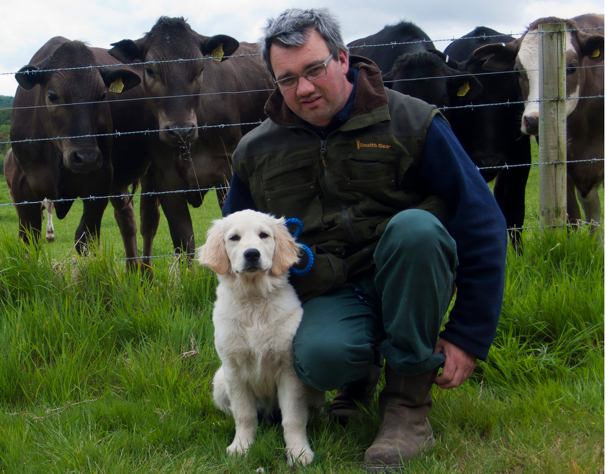 Beef Joints – Windmill Agri